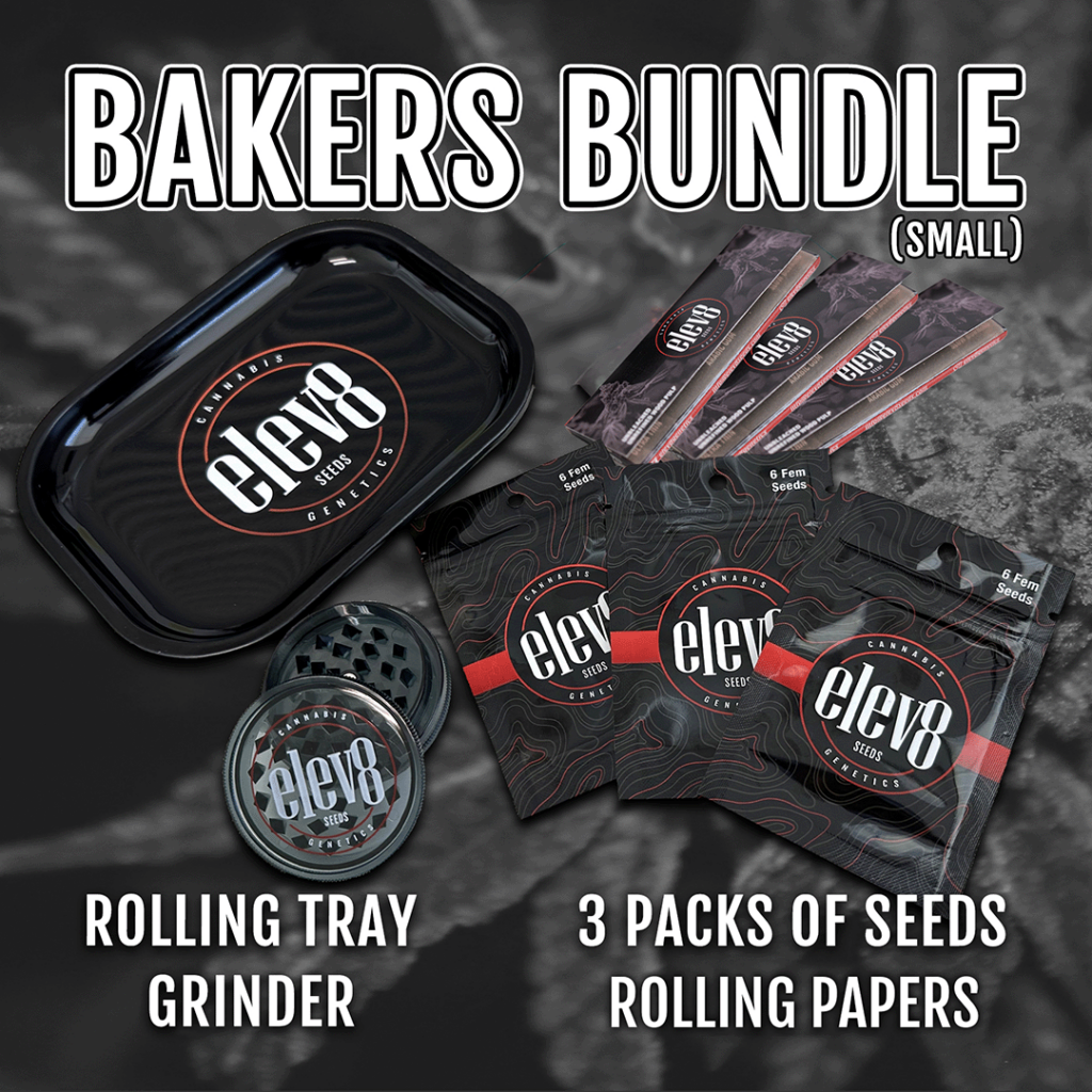 Small Bakers Bundle - Elev8 Seeds