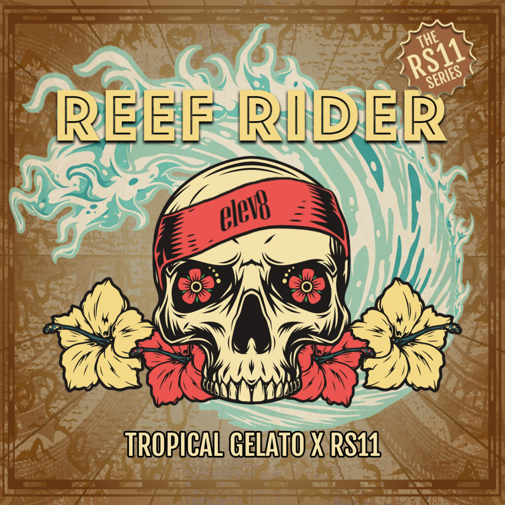 Reef Rider - Elev8 Seeds