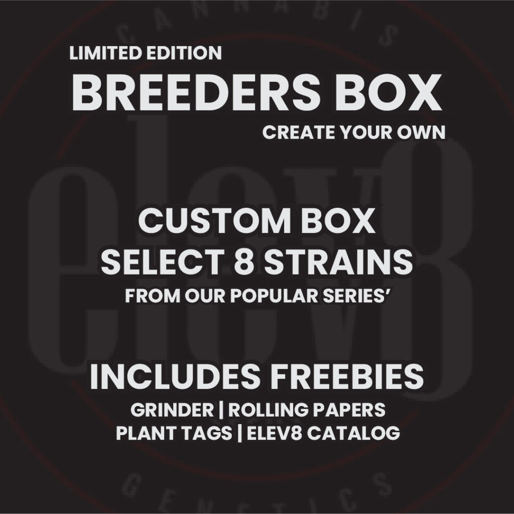 Cannabis Seeds For Sale Online | Indica & Sativa - Elev8 Seeds